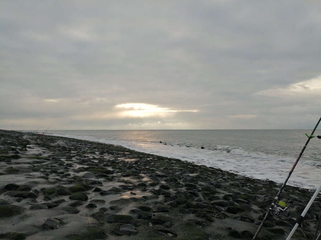 Vissen in Westkapelle: Kleine vangst, grote verrassing met puitaal
