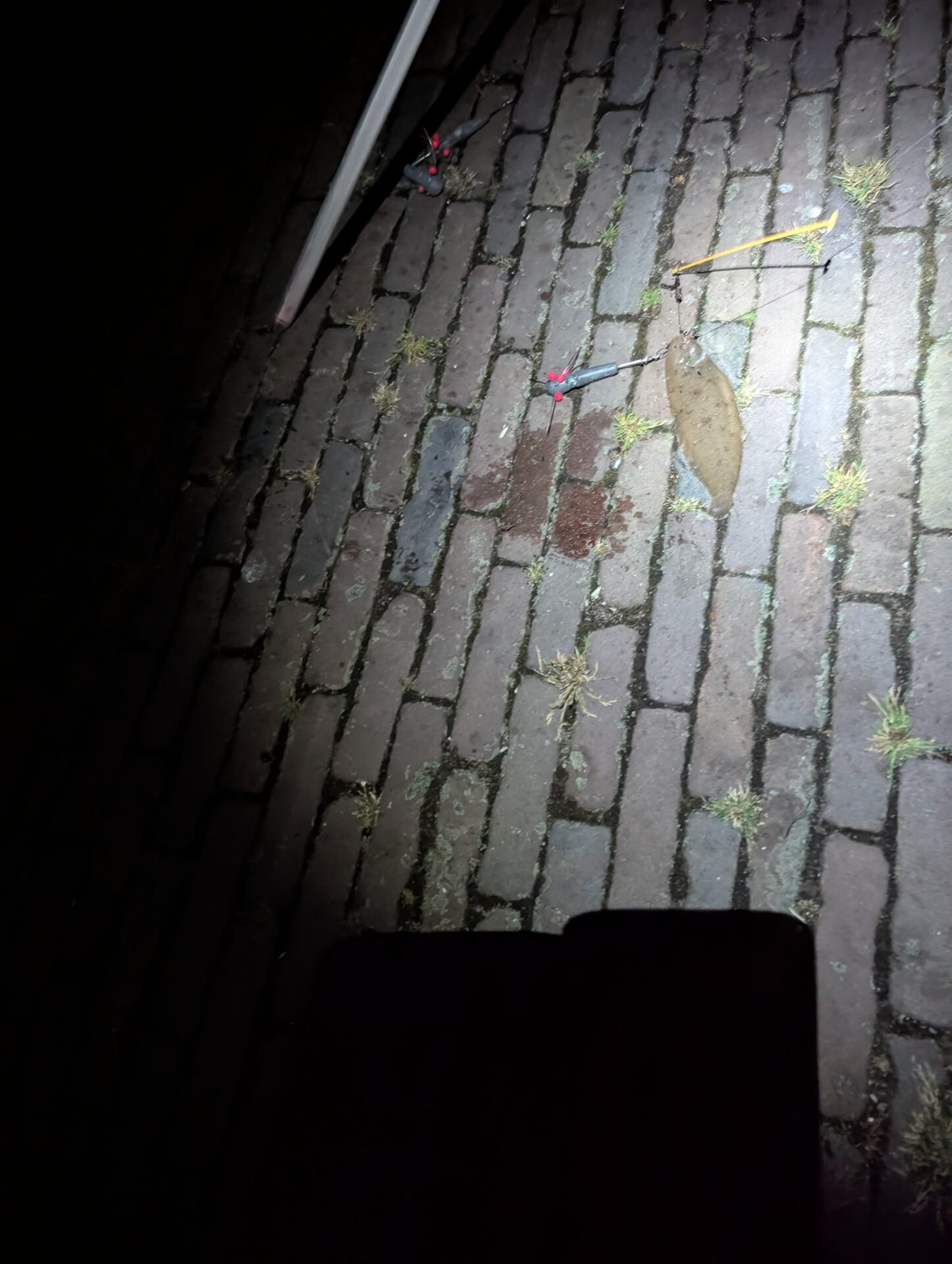 Kenneth, op jacht naar tong met leeglopers - Fishguppy